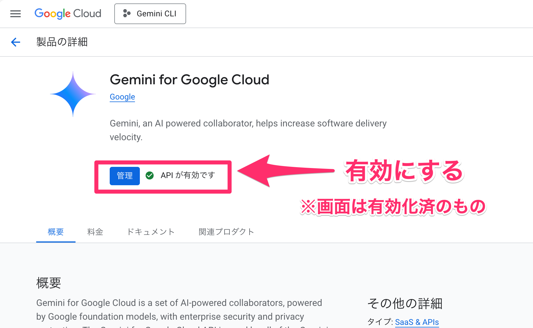 Gemini CLIをインストールする〜Google Workspaceアカウント使用 | penchi.jp